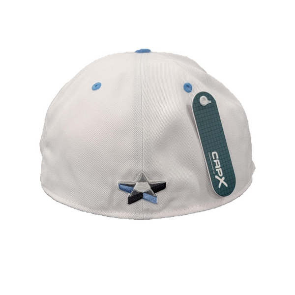 CHICAGO DOGS 2025 SPRING TRAINING FITTED HAT – Chicago Dogs Team Store