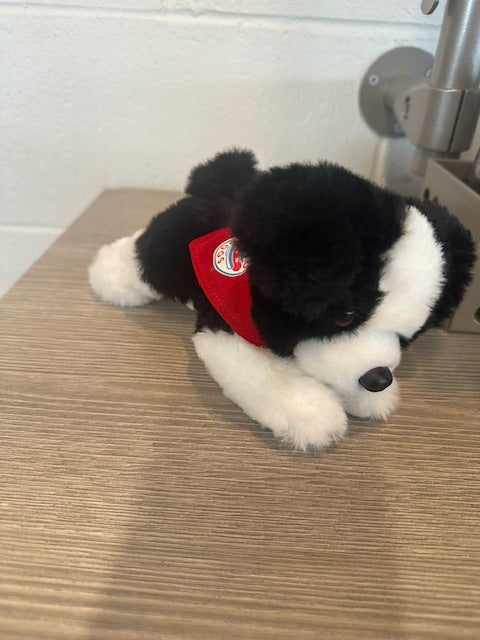 KETCHUP & SQUEEZE PLUSH DOLLS – Chicago Dogs Team Store