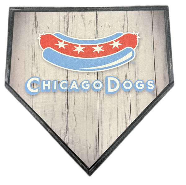 CHICAGO DOG SECONDARY LOGO BASEBALL PLAQUE – Chicago Dogs Team Store